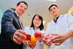 Conservateur alimentaire d'origine végétal Actalia