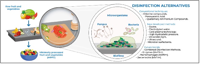 Méthodes de désinfection pour prévenir la contamination microbienne des ...
