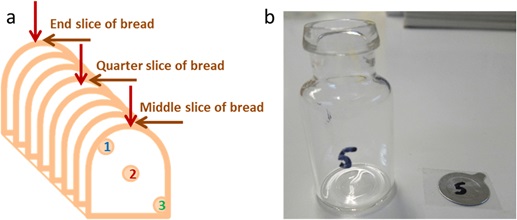 Utilisation du chlorure de choline pour réduire la teneur en sel et ...
